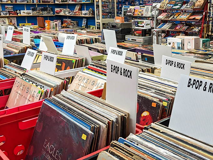 Vinyl collectors, prepare yourselves—these organized bins of records hold soundtrack gold from decades past waiting for rediscovery.