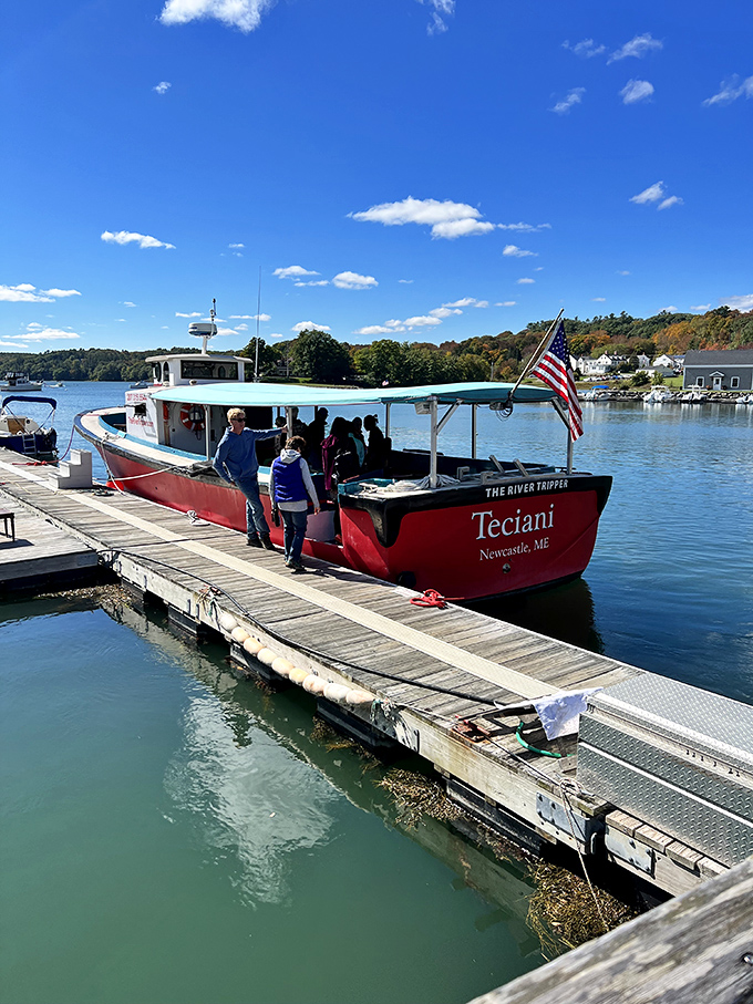 All aboard the Teciani! Nothing says "authentic Maine experience" like seeing the coastline from water level with that crisp breeze in your face.