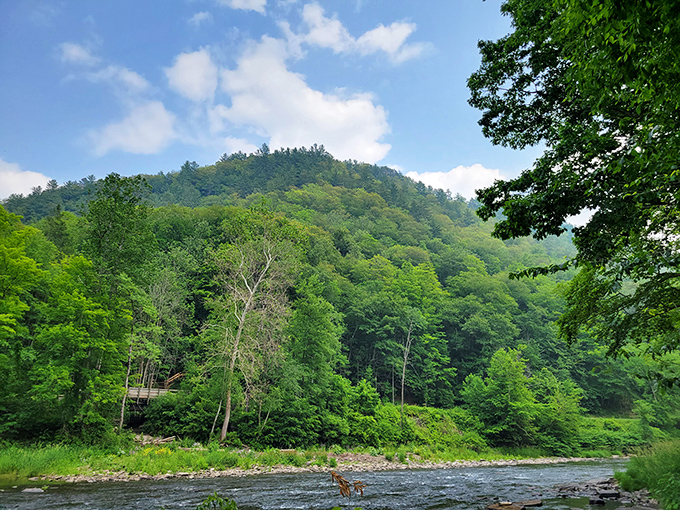 Sunlight dapples the river while mountains stand guard &ndash; nature's version of the perfect security system with a view.