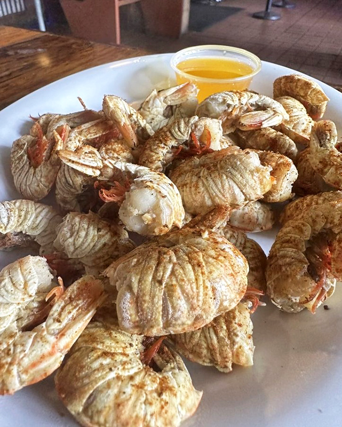 Rock shrimp arrive looking like miniature lobsters in disguise - sweet, tender morsels that make you wonder why you've wasted time on lesser crustaceans.