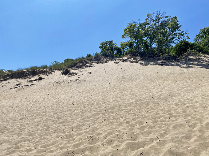 Mount Baldy's sandy slope invites bare feet and childlike joy. This isn't just a dune&mdash;it's Indiana's version of a natural stairway to heaven.