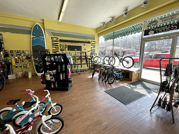 Sawmill Cycles proves Honesdale embraces both tradition and recreation, offering bikes for everyone from toddlers to retirees rediscovering the joy of two wheels.