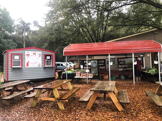 Wooden picnic tables beneath a red canopy invite visitors to linger, because rushing through strawberry season should be considered a minor crime.