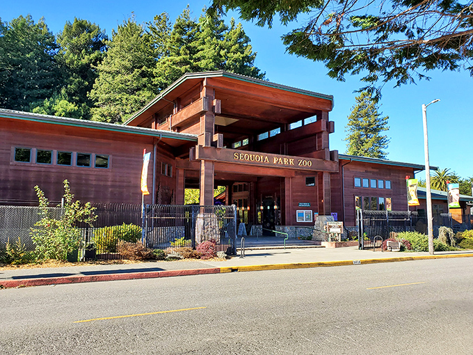 The Sequoia Park Zoo entrance welcomes visitors with architecture that respects its redwood surroundings. No concrete jungle here&mdash;just thoughtful design amid natural splendor.