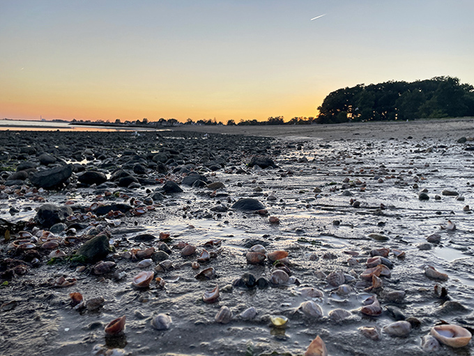 Nature's jewelry box spilled open at low tide &ndash; each shell and stone tells a story of journeys across the Sound.