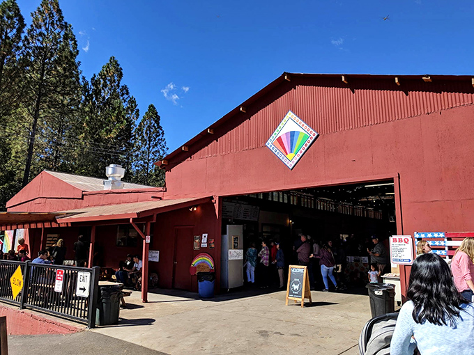 Rainbow Orchards' barn-red charm isn't just Instagram-worthy—it's where apple donuts have caused more joy than should be legally possible.