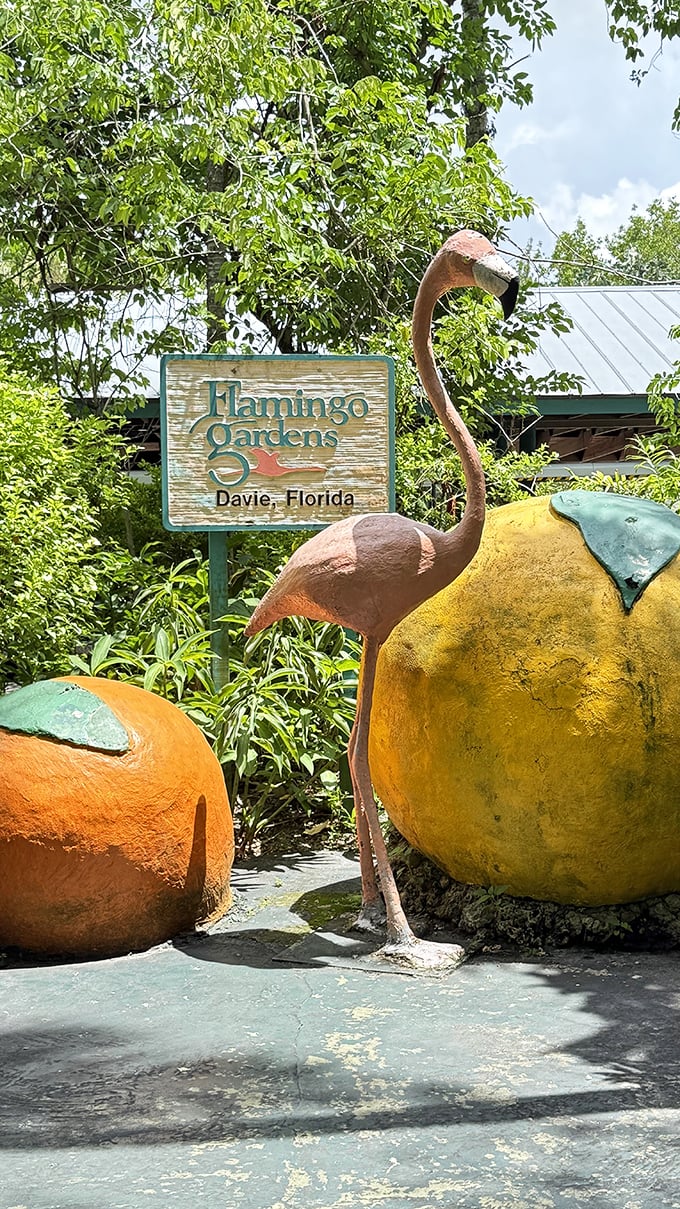 The entrance sign says it all&mdash;part botanical wonderland, part wildlife sanctuary, and 100% worth the visit. Florida's natural beauty preserved.