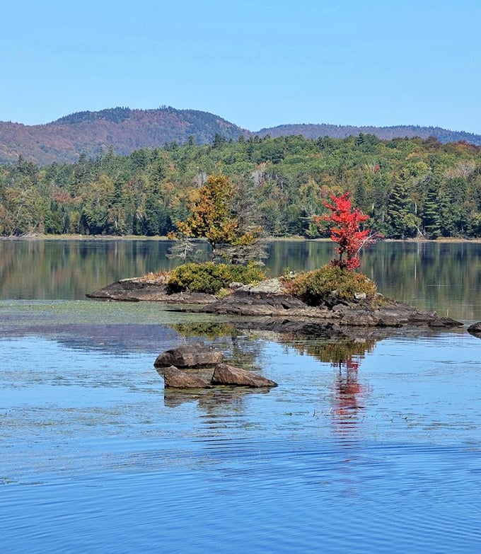 Nature's bonsai garden &ndash; a tiny island that packs more drama into a few square feet than most Broadway productions.
