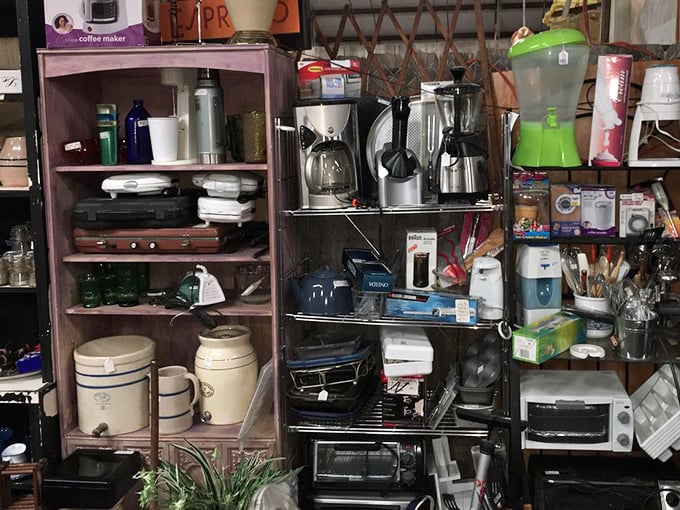 The small appliance graveyard where toasters, coffee makers, and blenders wait patiently for their chance at a second life in your kitchen.