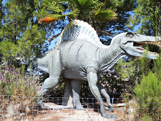 The Spinosaurus stands guard, its impressive sail catching desert light while visitors wonder if it moonlights as a solar panel.