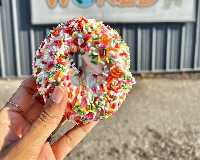 This sprinkle donut doesn't just brighten your day&mdash;it's practically throwing a tiny confetti parade in your honor with every colorful bite.