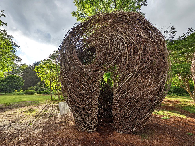 This whimsical woven nest structure invites visitors to step inside and experience what it's like to be a bird with an architectural degree.