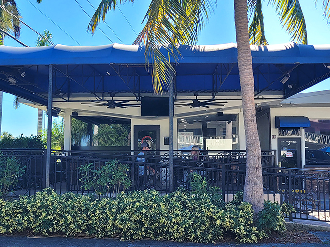 Outdoor dining with palm tree ambiance&mdash;the Florida retirement dream in restaurant form. No jacket required, just an appetite.