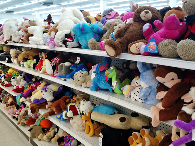 A mountain of stuffed animals awaits new homes. Each fuzzy friend has a story to tell and costs less than a fancy coffee. 