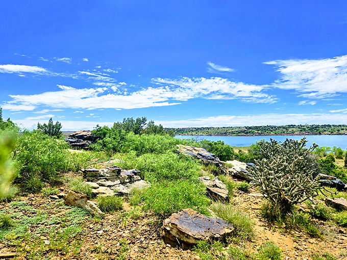 Summer turns everything green and lush, proving eastern New Mexico has more tricks up its sleeve than expected.