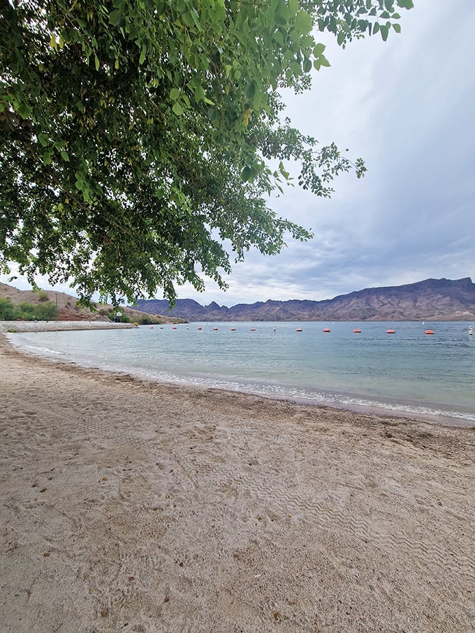 Beneath the shade of desert trees, the beach offers a front-row seat to Arizona's most refreshing contradiction &ndash; a waterfront oasis.