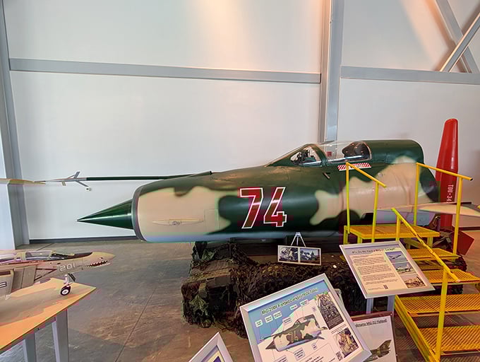This camouflaged fighter jet looks fast even while perfectly still&mdash;the aeronautical equivalent of a cat ready to pounce on an unsuspecting toy.