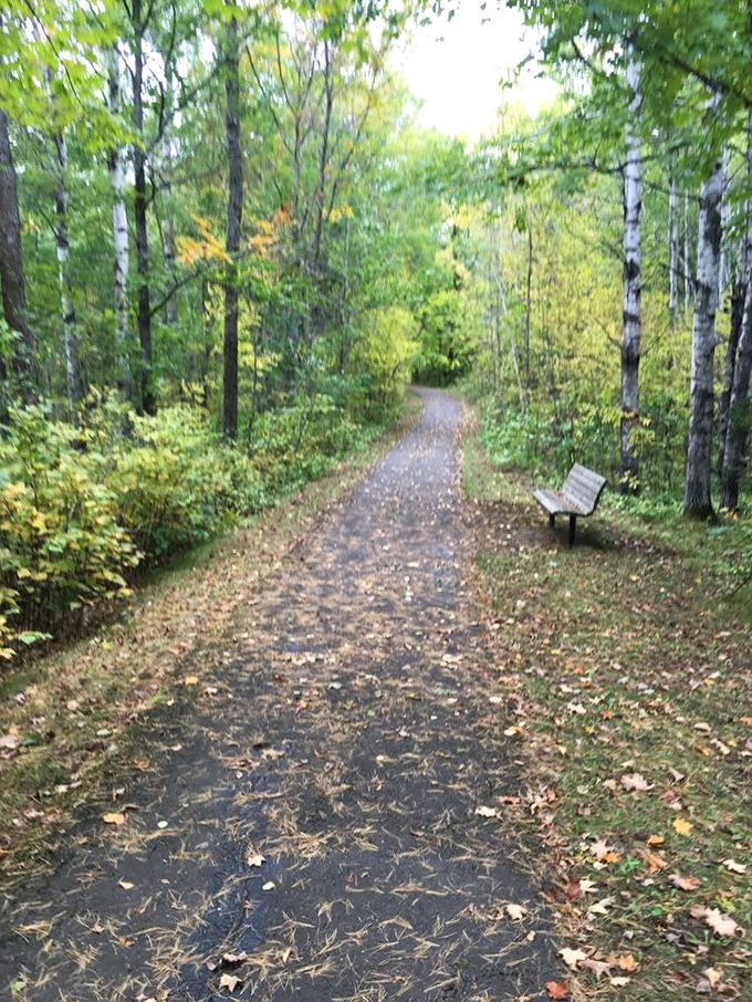 Autumn paints the trail in golden hues, as fallen leaves create nature's carpet&mdash;a reminder that sometimes the best path is the one less traveled.