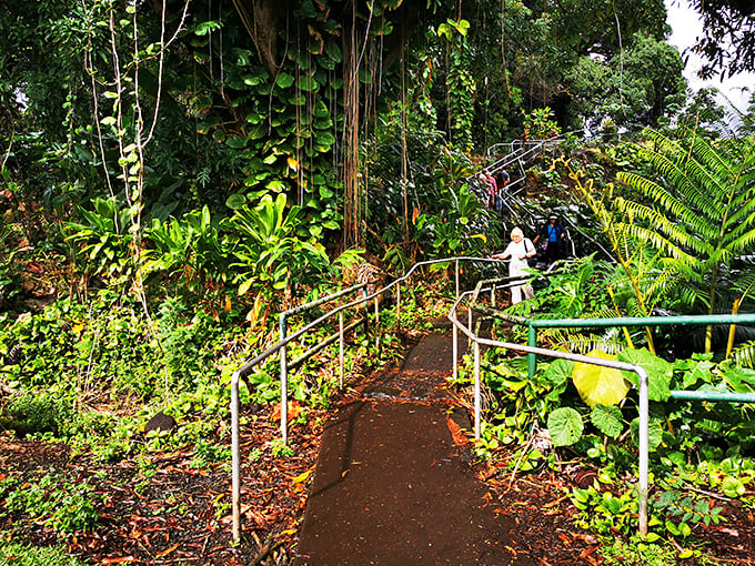 The path down to the lower viewpoint isn't exactly a marathon, but those handrails sure come in handy.