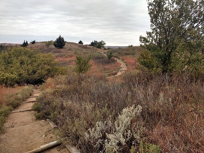 The path less traveled leads to prairie perfection. Wilson's trails wind through native grasses that whisper stories of the land's ancient past.