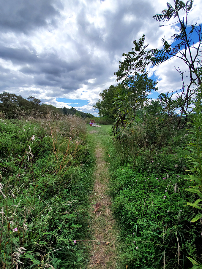 The path less traveled often leads to the best views. This trail promises adventure with every step.