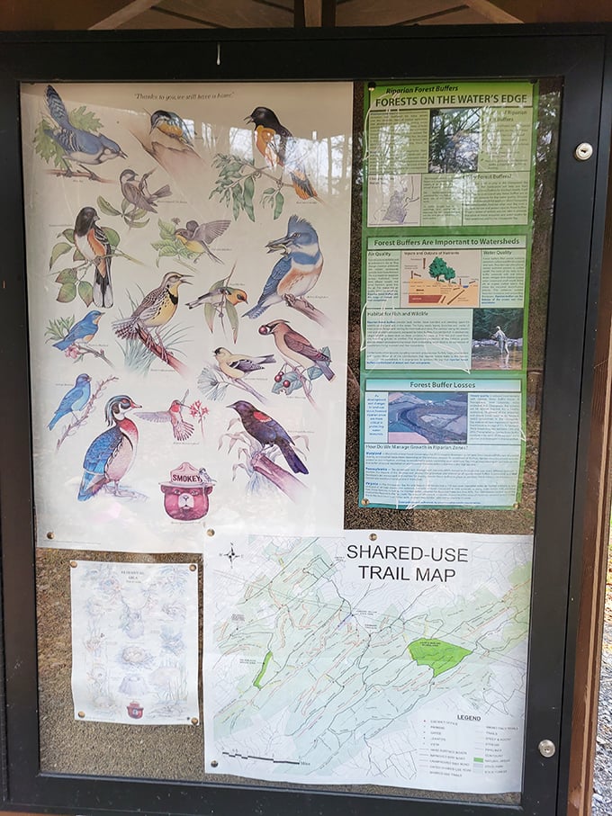 A treasure map to feathered friends and forest wonders. Half the fun is deciding which trail to tackle first!