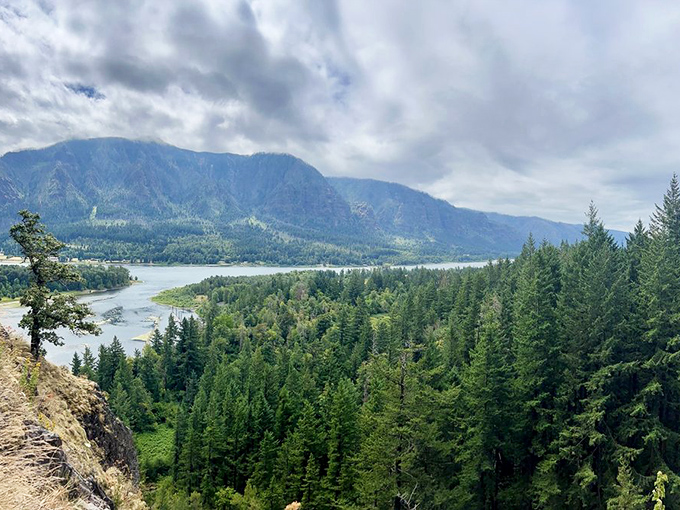 The Columbia River curves through the gorge below, offering views that make you understand why Lewis and Clark couldn't stop journaling.