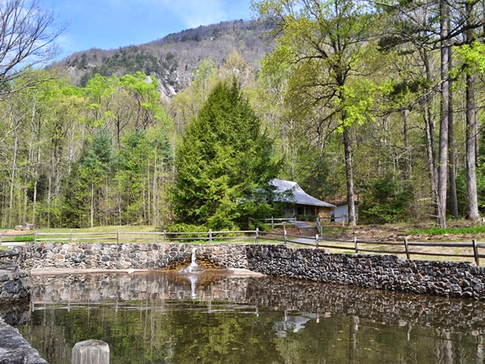 The trout pond reflects the mountains like nature's own Instagram filter &ndash; no smartphone required for this perfect shot.