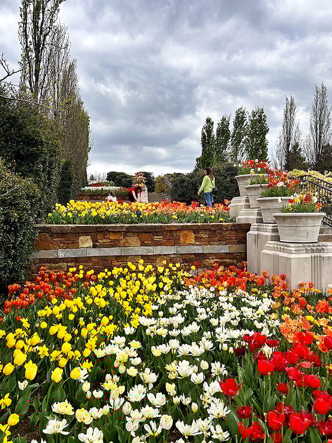 A tapestry of tulips creates a color palette so vibrant it makes you wonder if someone turned up nature's saturation settings.