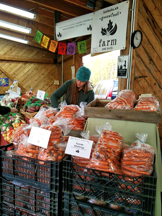 Carrot mountain! The Goosefoot Farm display showcases the vibrant orange treasures that thrive in Alaska's mineral-rich soil.