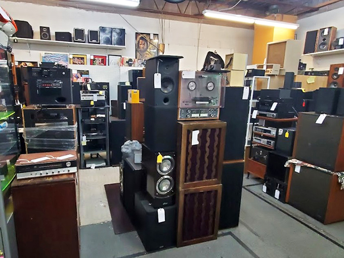 Audio equipment paradise where vinyl enthusiasts can find the perfect speakers to make their records sound like it's 1975 again.
