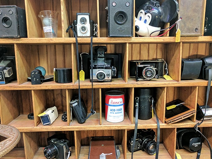 Each camera represents thousands of captured moments&mdash;birthdays, weddings, and Tuesday afternoons that seemed ordinary until they weren't.