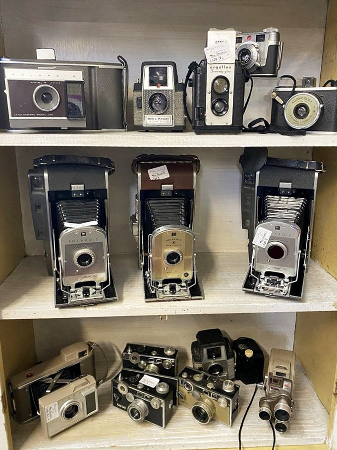 Cameras that captured weddings, birthdays, and vacations long before selfies existed. Each one a mechanical marvel of its time.