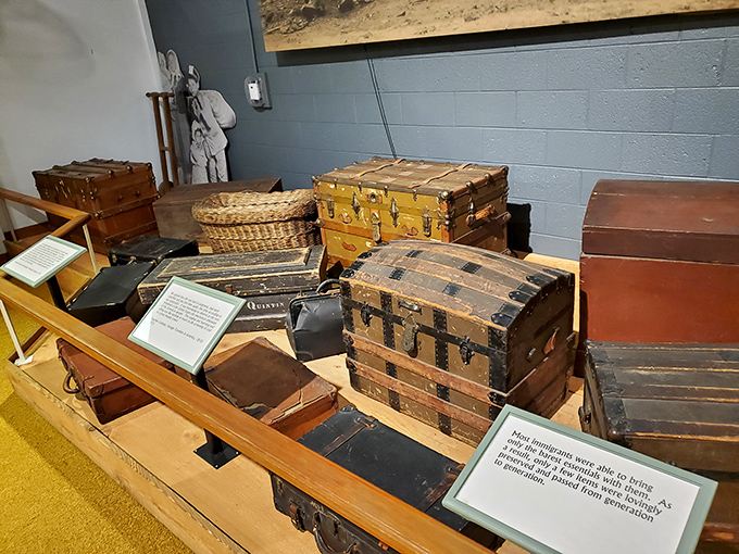 These weathered immigrant trunks carried dreams across oceans. Each scratch and dent tells a story of hope, hardship, and new beginnings.