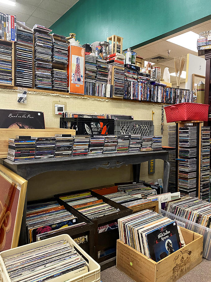 Vinyl heaven! Crate-diggers paradise where forgotten albums and hidden gems await the patient music lover.