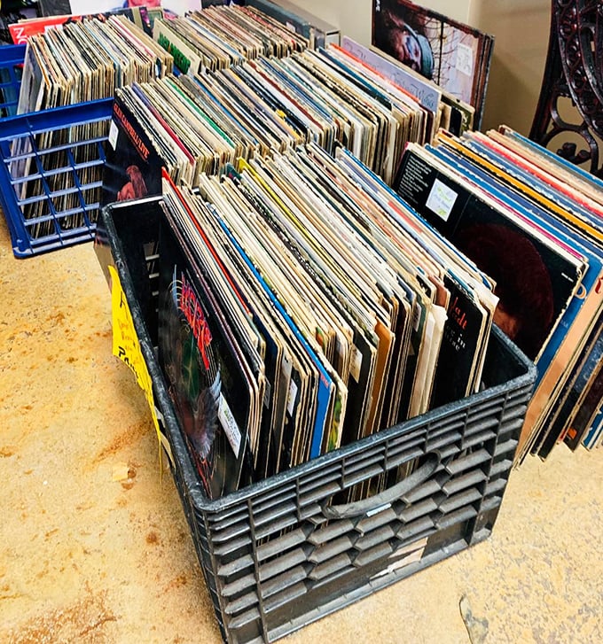 Vinyl records in milk crates&mdash;the original music streaming service. Analog treasures promising warmer sound and album art you can actually see.
