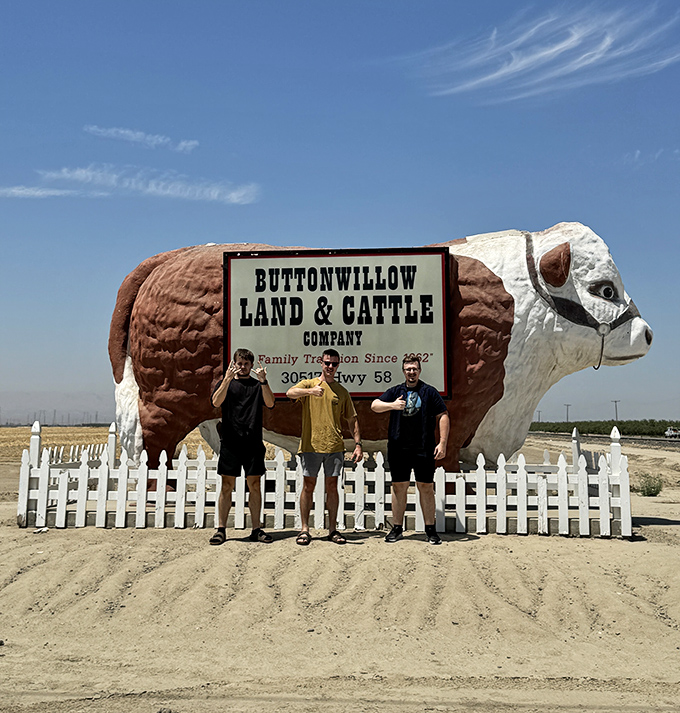 Three amigos measuring themselves against California's favorite bovine landmark. Spoiler alert: Otis wins every time.