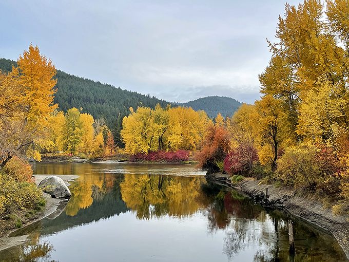 Fall transforms Leavenworth's Waterfront Park into a golden paradise, where the Wenatchee River reflects autumn colors like nature's own Instagram filter.