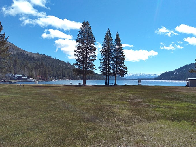 West End Beach at Donner Lake offers crystal-clear waters and towering pines, nature's perfect respite from California's summer heat.