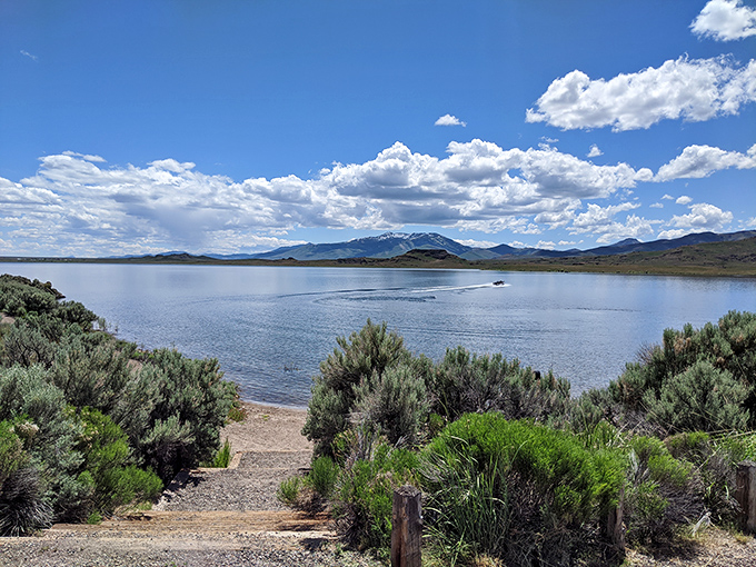 Wild Horse Reservoir mirrors the vast Nevada sky, creating a double dose of blue that makes you want to breathe deeper and stay just a little bit longer.