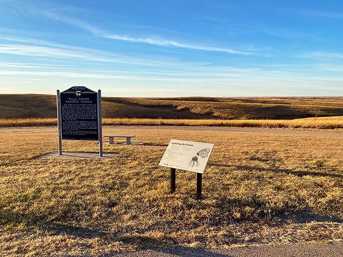 The Willa Cather Memorial Prairie stretches to infinity and beyond. This untouched grassland shows what inspired Cather's vivid descriptions&mdash;no wonder she couldn't stop writing about it!