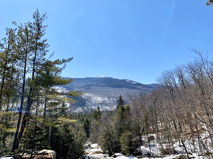 Winter's peaceful takeover: Snow-dusted mountains stand majestically against a brilliant blue sky, silently judging your inadequate winter wardrobe.