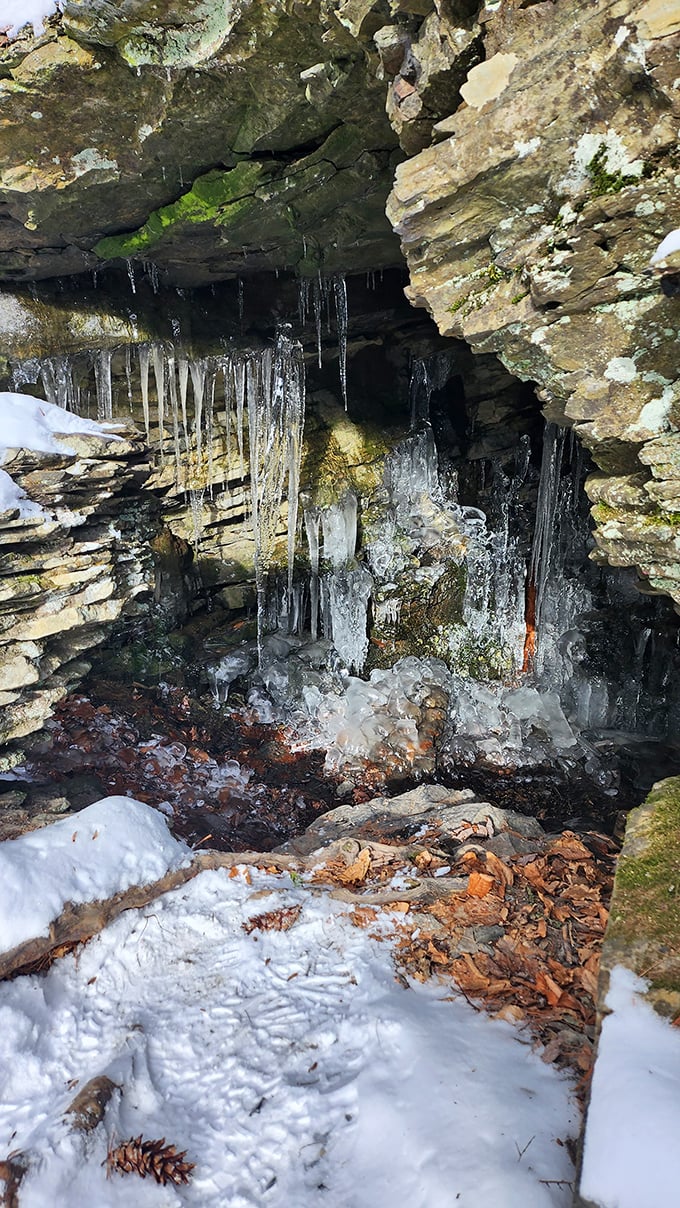 Winter transforms the falls into nature's ice sculpture garden. These delicate formations prove that water has artistic ambitions in every season.