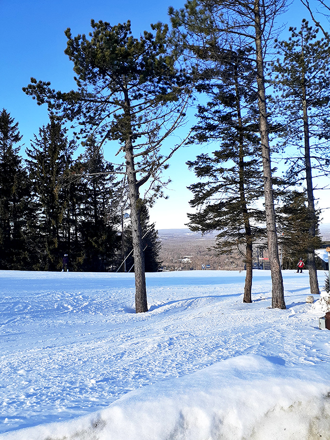 Winter transforms Big Pocono into a snow-dusted wonderland. Same mountain, completely different experience&mdash;like Pennsylvania's version of a mood ring.