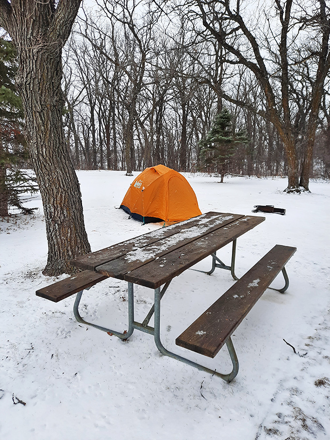 Winter camping: where the brave find solitude and the rest of us find respect for the brave. That orange tent is North Dakota's version of a desert oasis.
