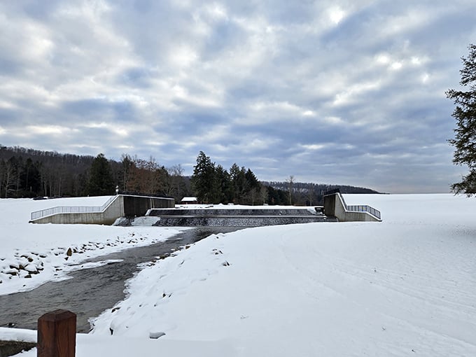 Winter's stark beauty transforms the lake into a monochromatic masterpiece where even the spillway becomes an ice sculpture.