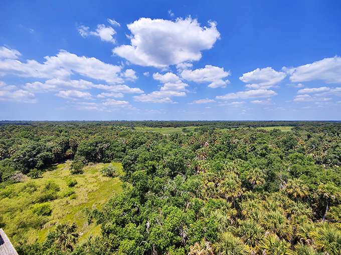 A patchwork quilt of ecosystems stretches to the horizon&mdash;prairie, hammock, and wetland stitched together by nature's expert hand.
