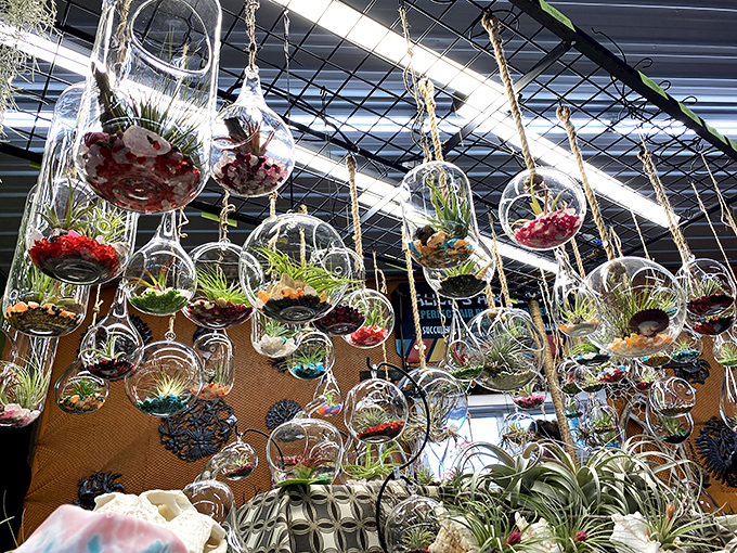 Suspended gardens that defy gravity! These hanging terrariums bring the outdoors inside without the commitment of actually keeping plants alive.