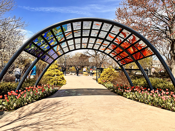 Not your average rainbow bridge! This artistic archway frames the garden path like a living painting, with tulips providing a standing ovation.
