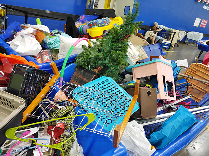 A Christmas tree in July? At the Goodwill Outlet, seasonal treasures appear when you least expect them, like time-traveling retail.